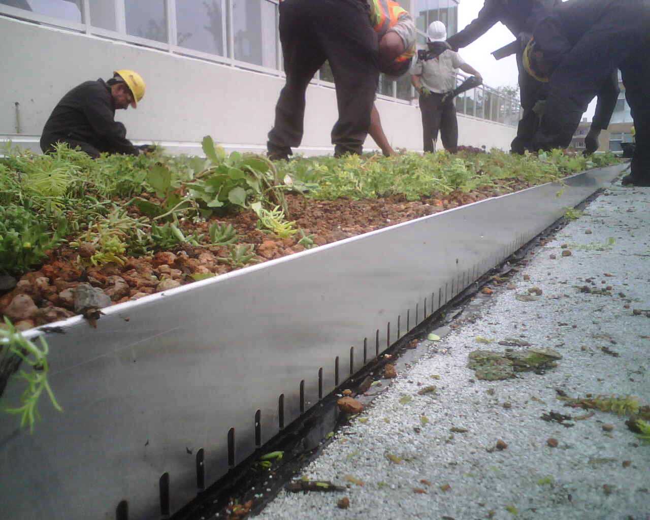 Ultra Clean Edge Green Roof Edging - Skol Manufacturing